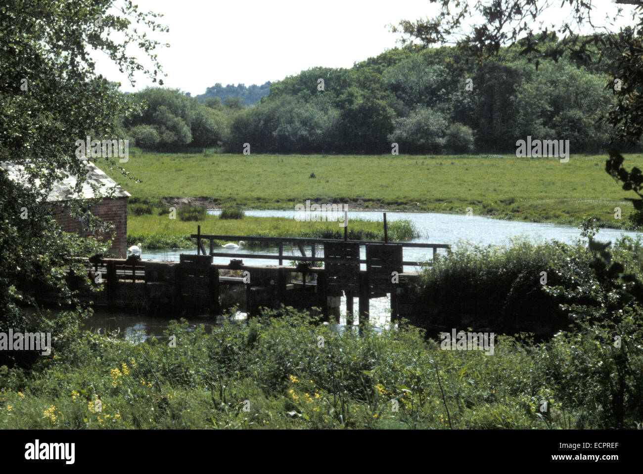 Sopley mill hi-res stock photography and images - Alamy
