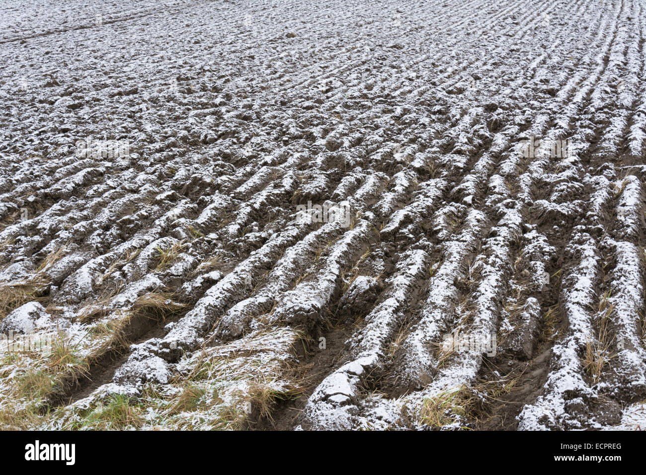 Frosty fields in Hollola Finland Stock Photo - Alamy