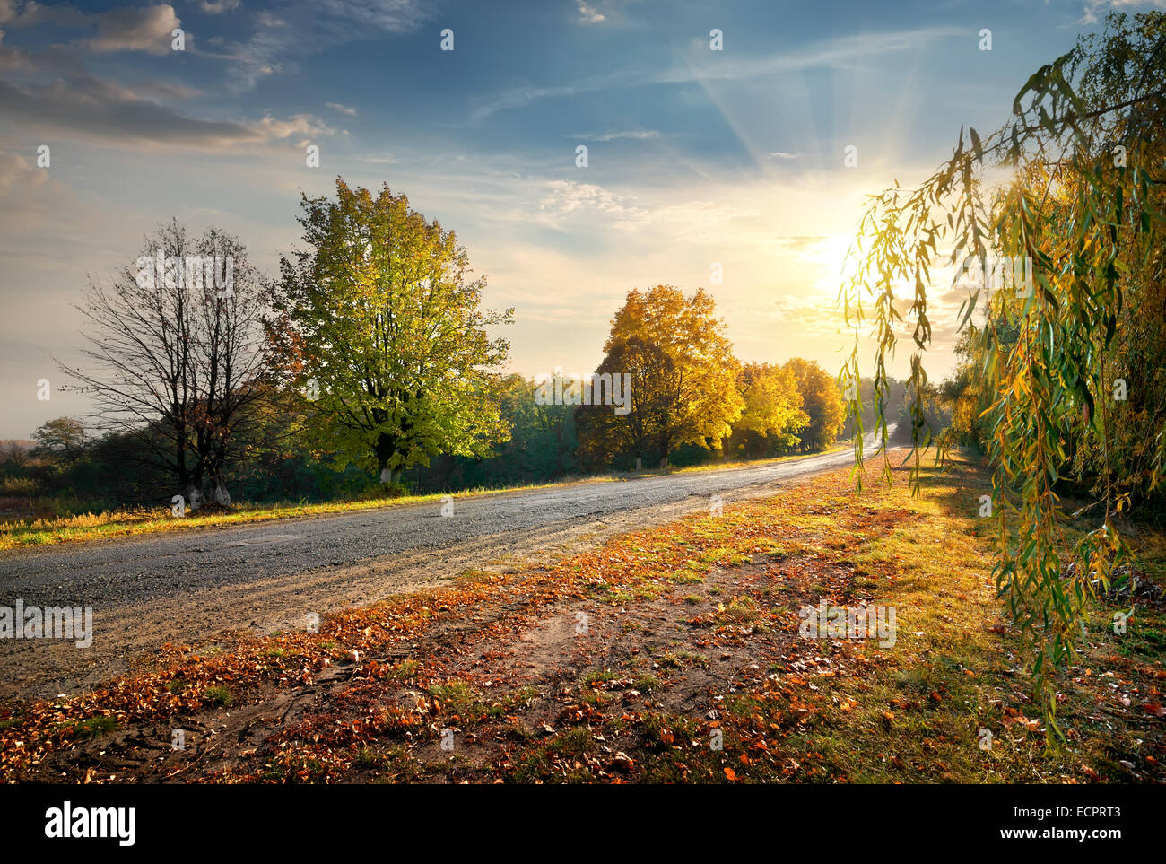Is the most beautiful road hi-res stock photography and images - Alamy