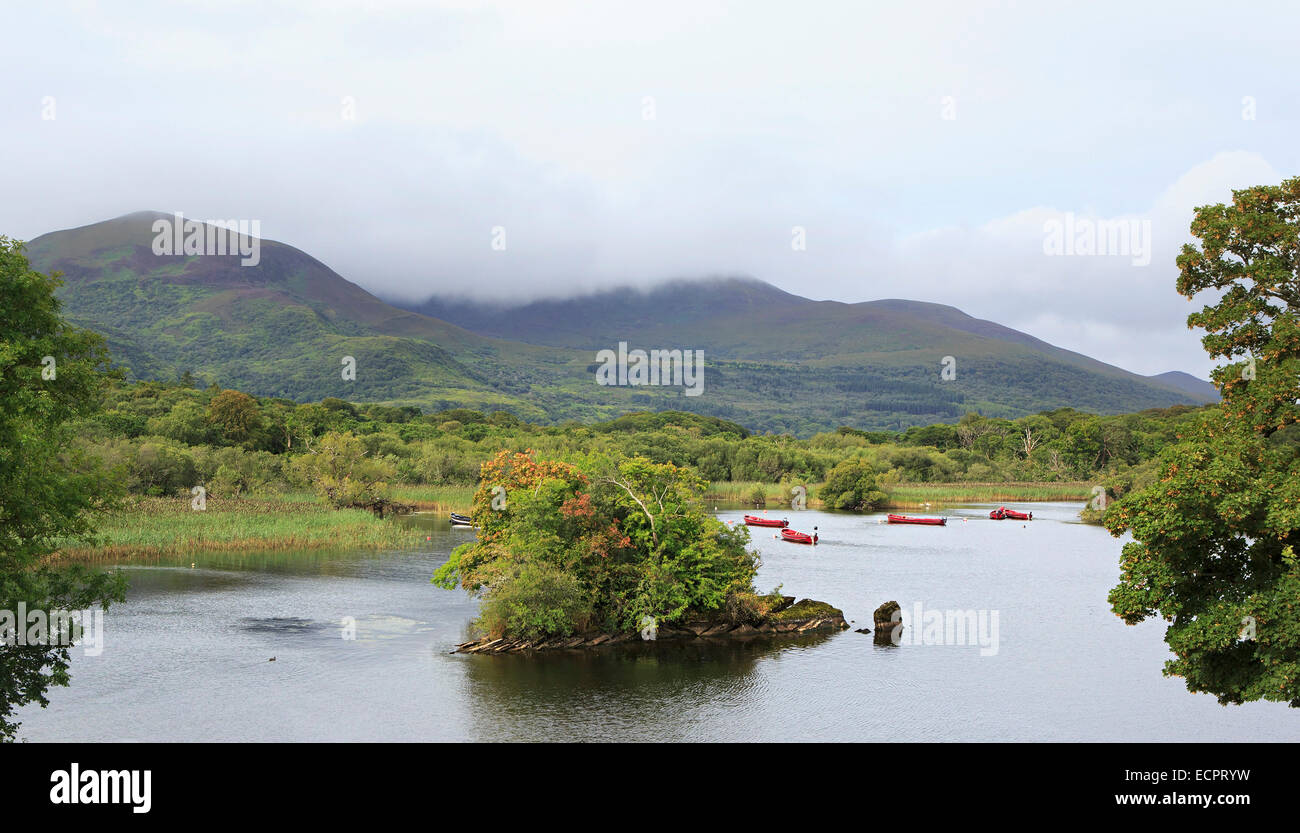 Ross Bay Lough Leane Lower Lake. Ring of Kerry in Ireland Stock Photo ...