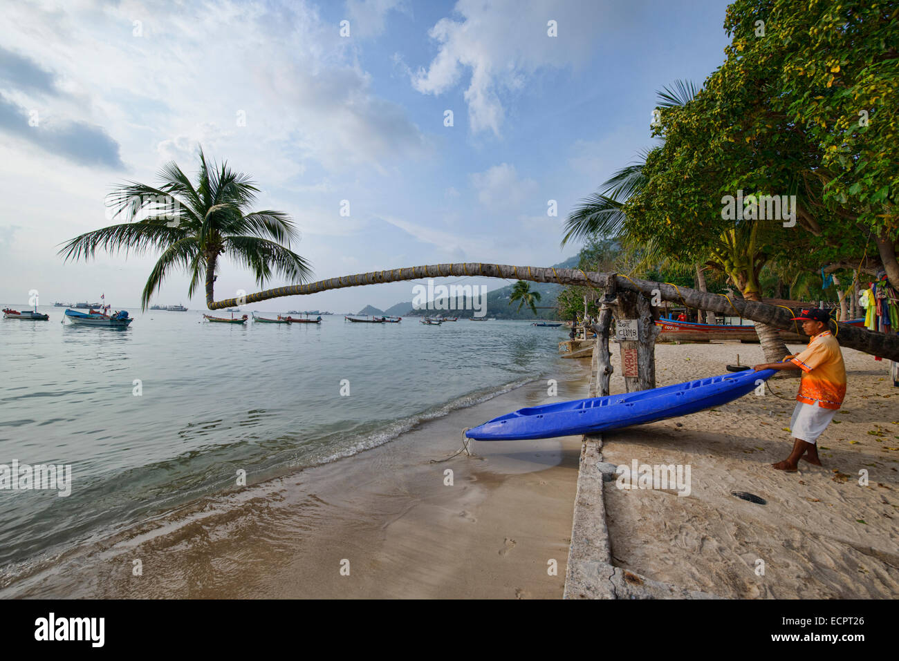 kayak and leaning coconut tree on Sairee Beach, Koh Tao, Thailand Stock ...