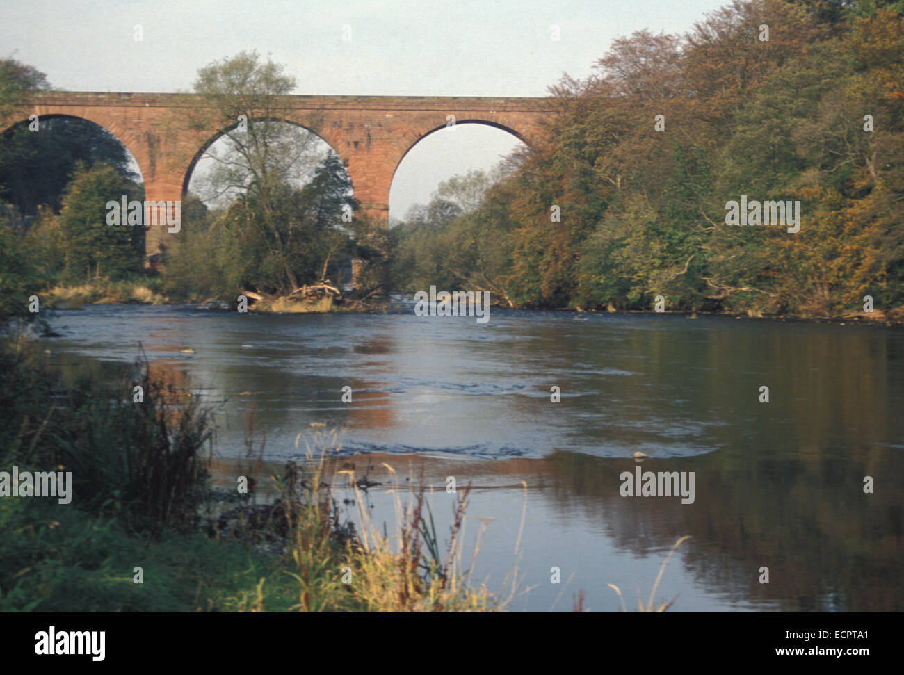 River Eden and Railway viaduct, Wetheral, Cumbria Stock Photo - Alamy