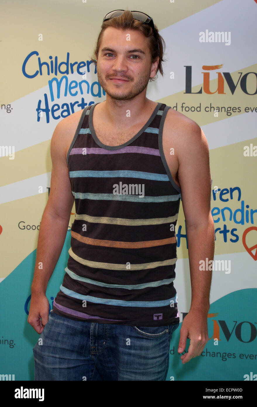 Children Mending Hearts Fundraiser 2014 - Arrivals Featuring: Emile ...