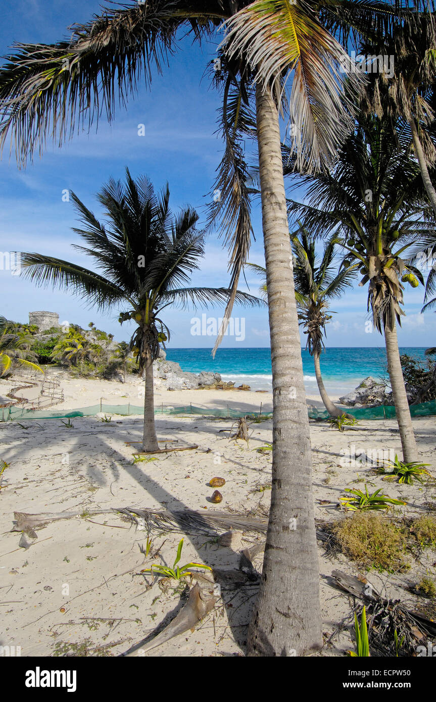 Beach at Mayan ruins of Tulum, Quintana Roo state, Mayan Riviera ...