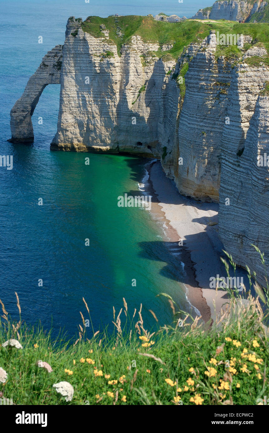 Falaise d'aval, sea cliff, Étretat, Côte d'Albatre, Haute-Normandie ...