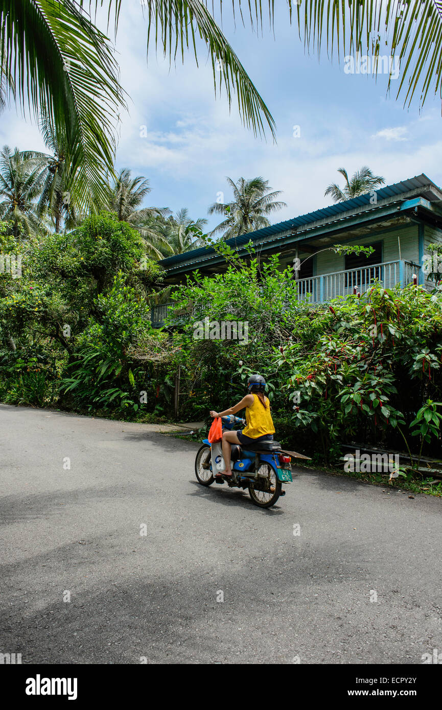 Singapore and palau hi-res stock photography and images - Alamy