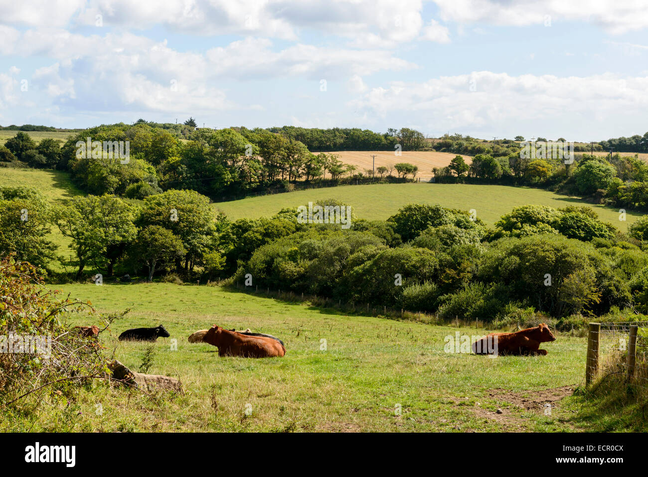 Hilly country hi-res stock photography and images - Alamy