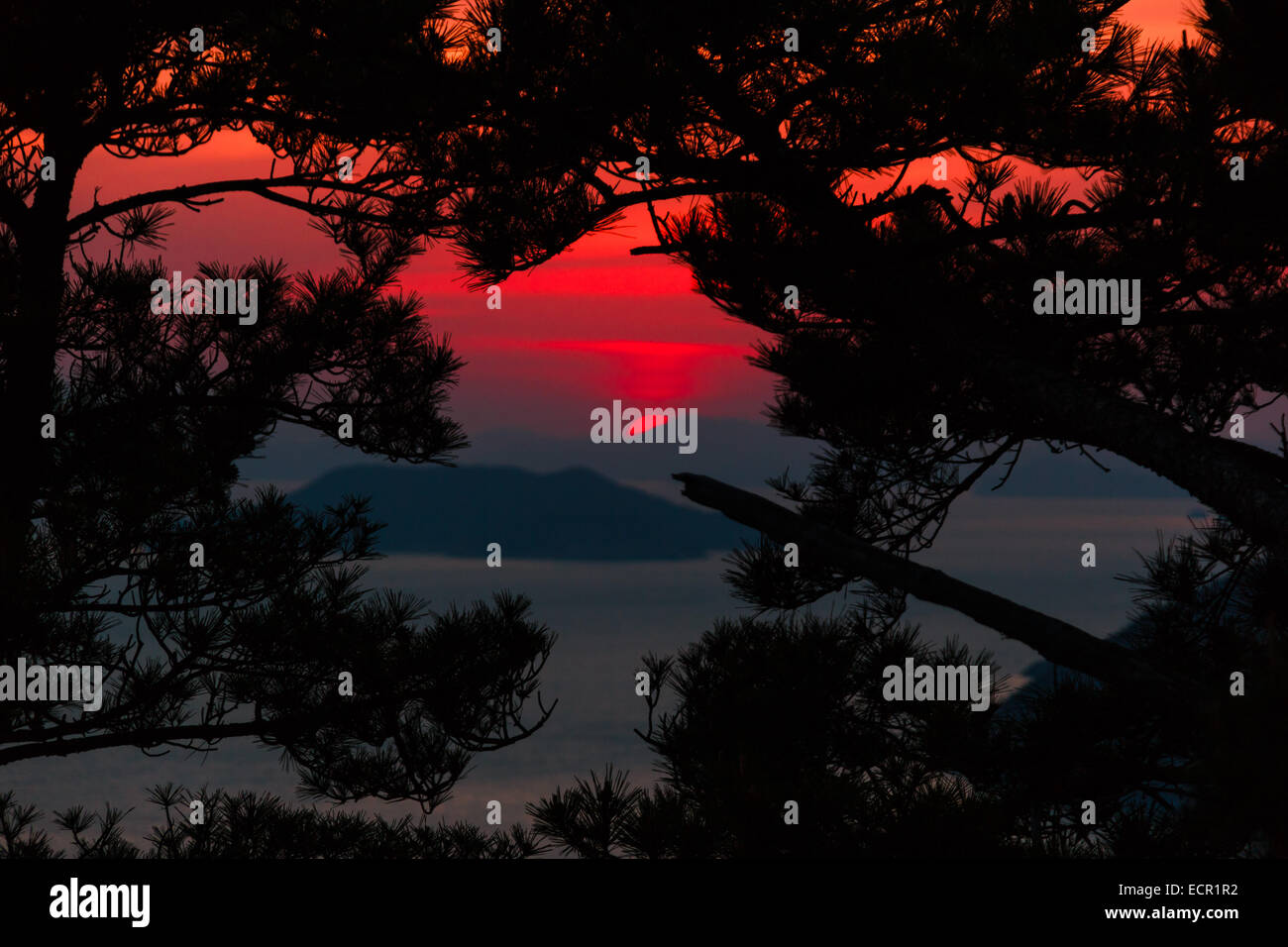 Sunset Through Trees Stock Photo - Alamy