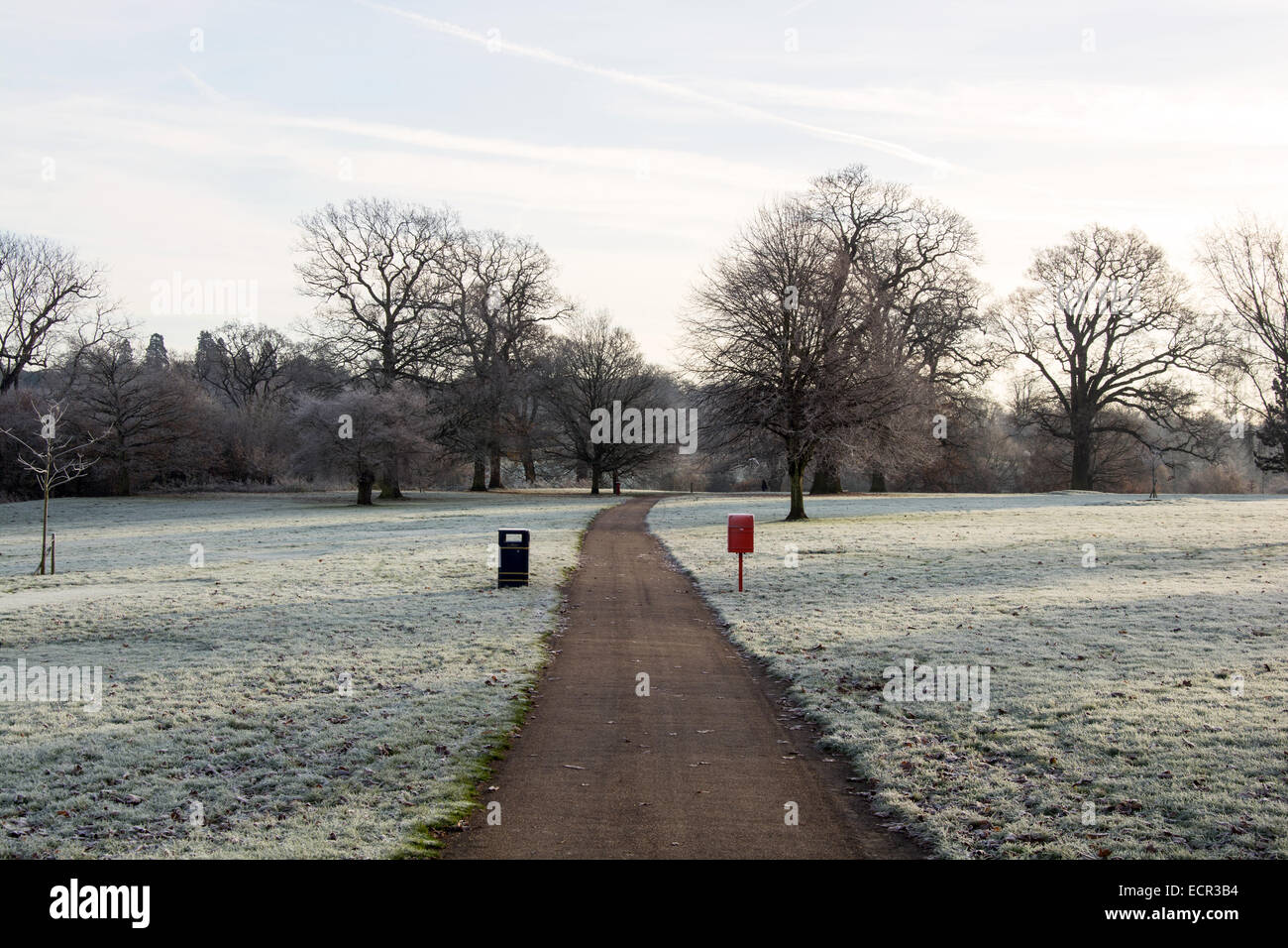 Path into the distance Stock Photo - Alamy