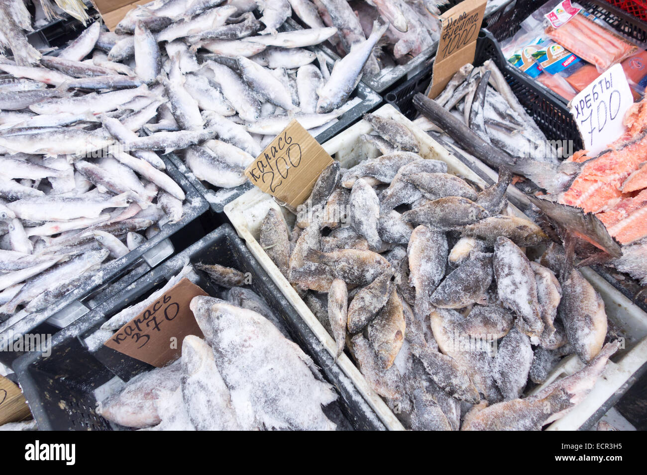 frozen raw fish on a local market Stock Photo - Alamy