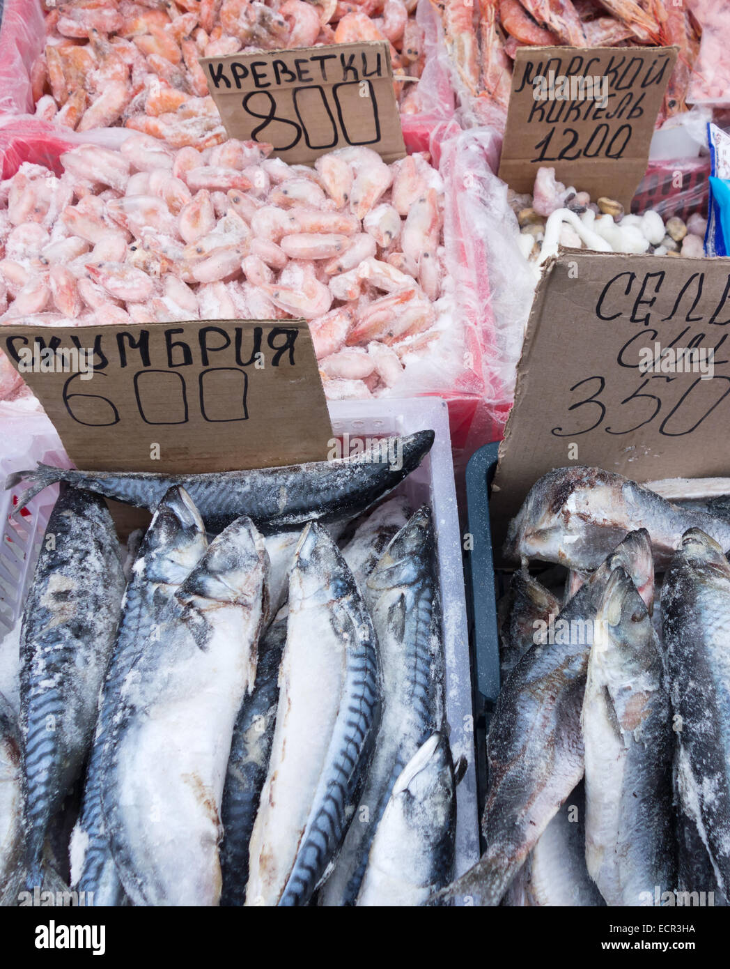 raw fish on a local market Stock Photo - Alamy