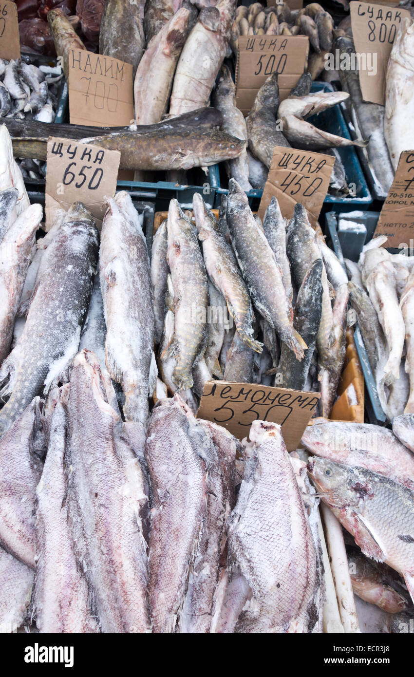 raw frozen fish on a local market Stock Photo - Alamy