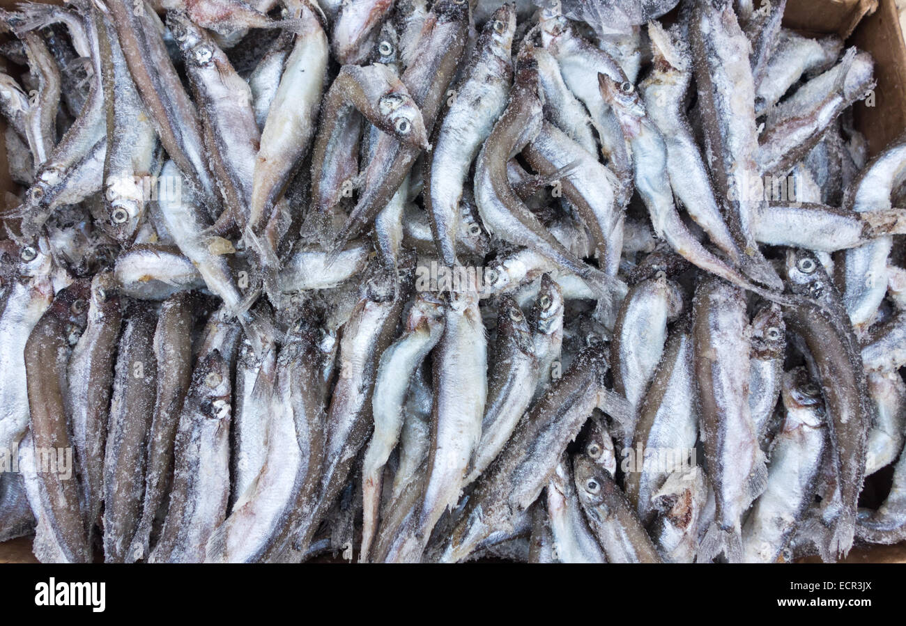 close up of frozen carcass fish Stock Photo - Alamy