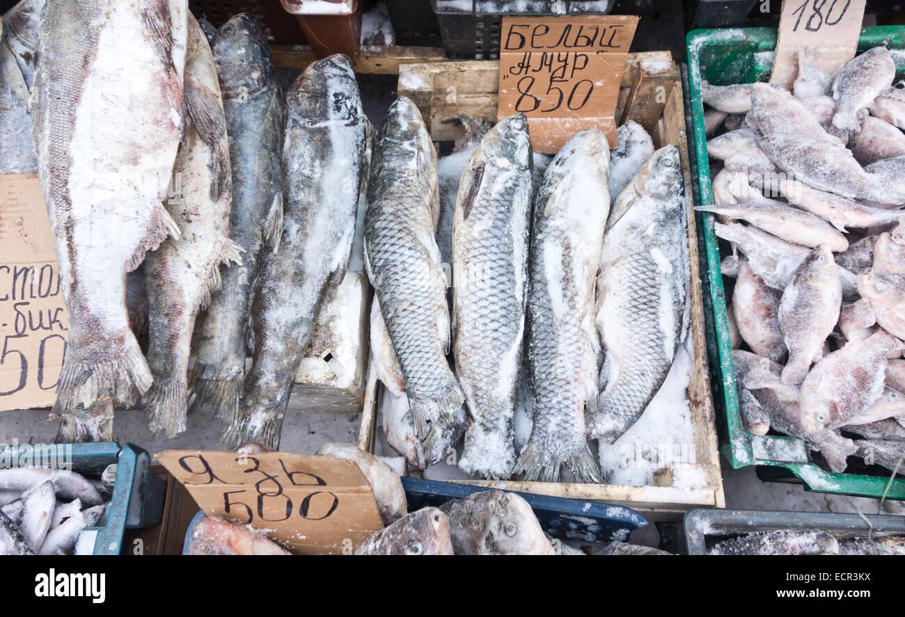 Frozen fish on market hi-res stock photography and images - Alamy