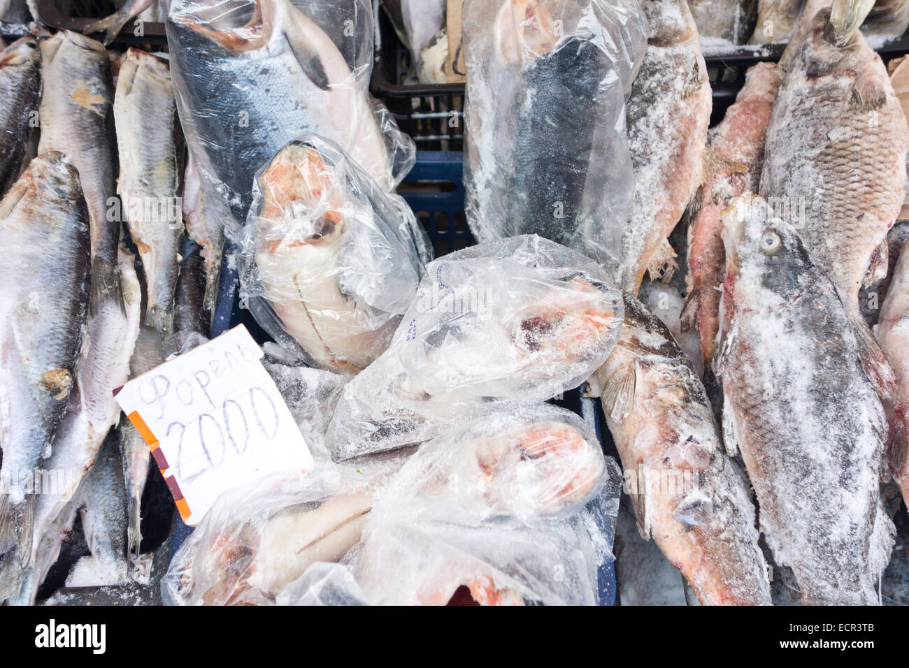 raw frozen fish on a local market Stock Photo - Alamy