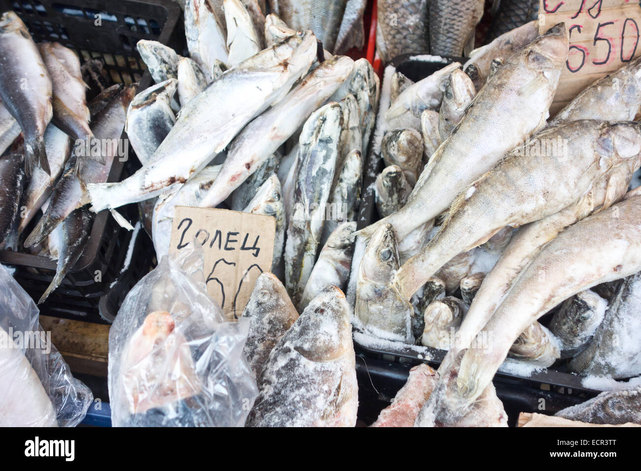 raw frozen fish on a local market Stock Photo - Alamy