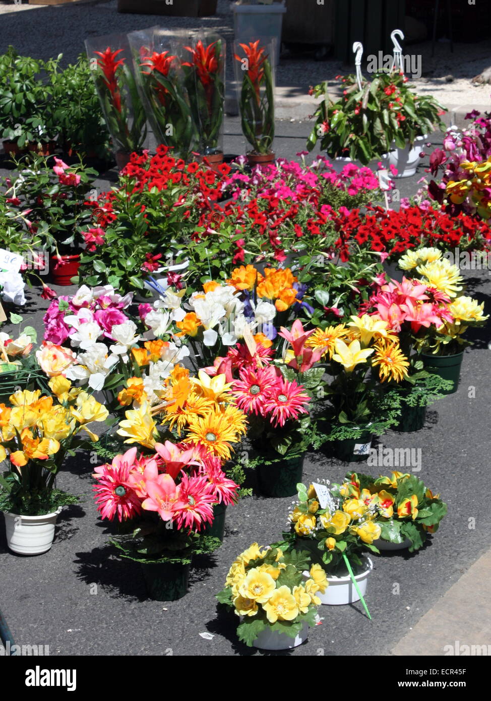 Market Display of Flowers Stock Photo - Alamy