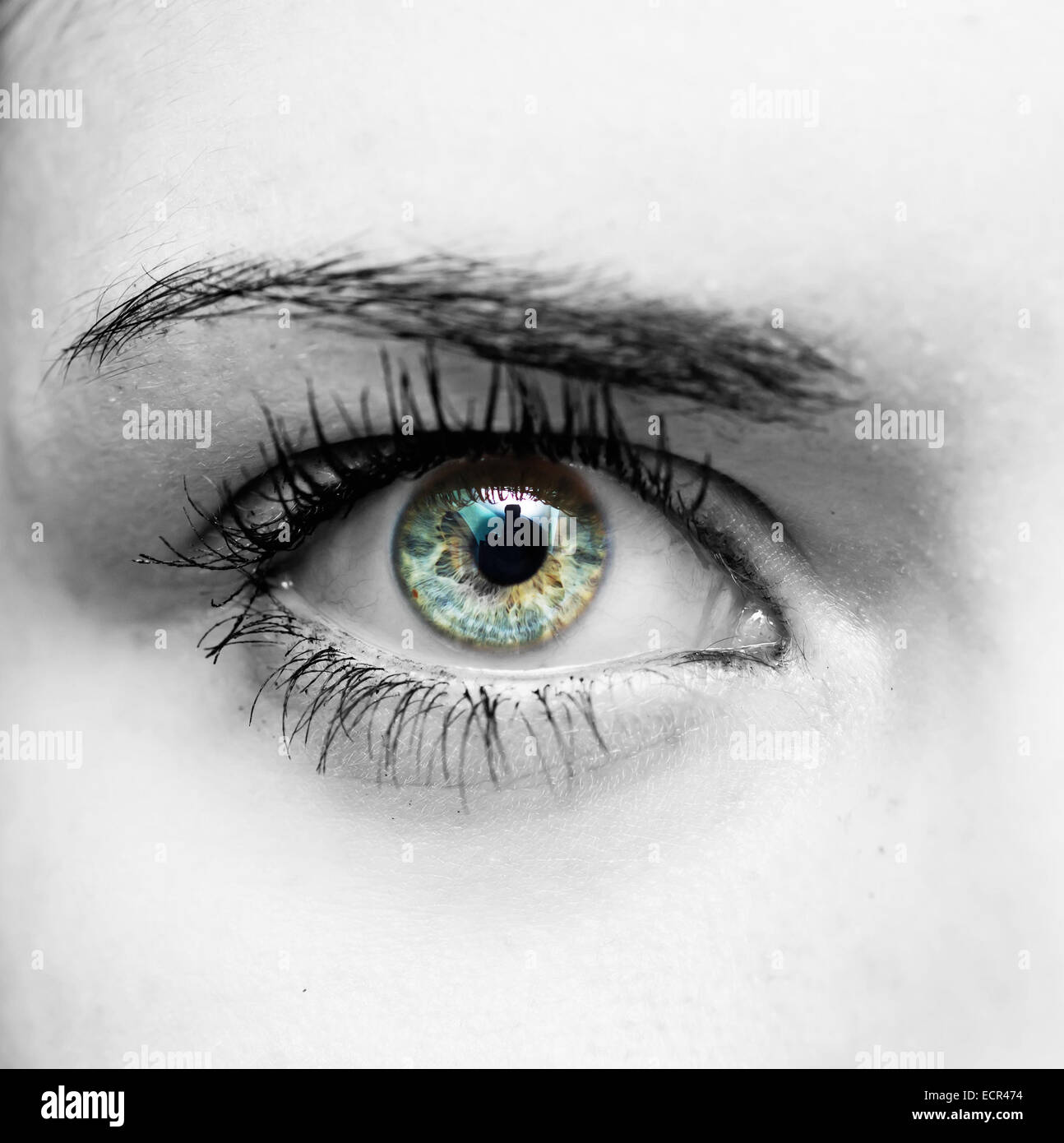 Woman eye hi-res stock photography and images - Alamy