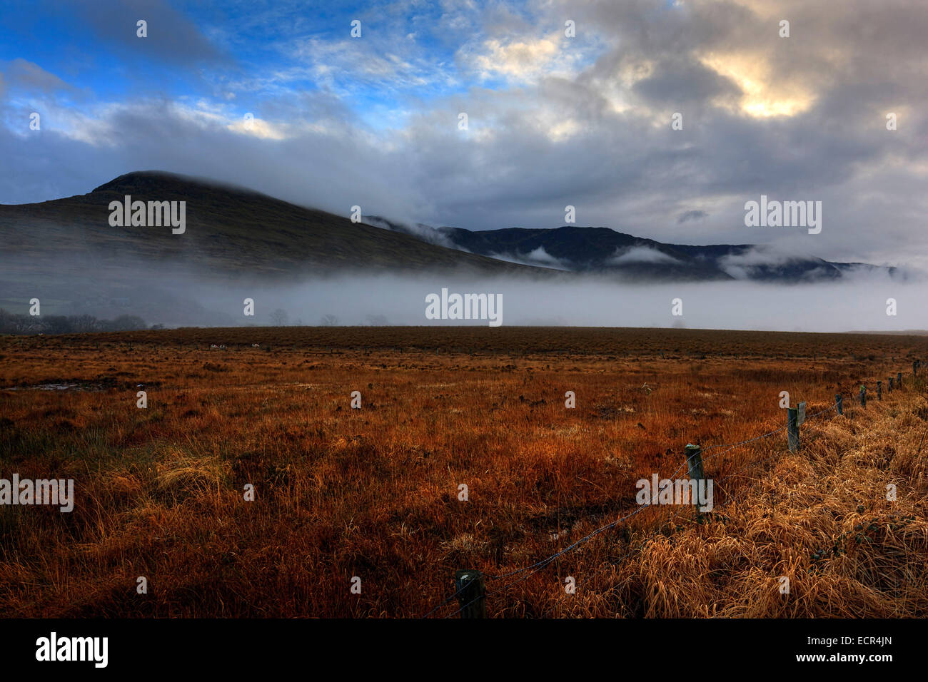 Rasen in galway hi-res stock photography and images - Alamy