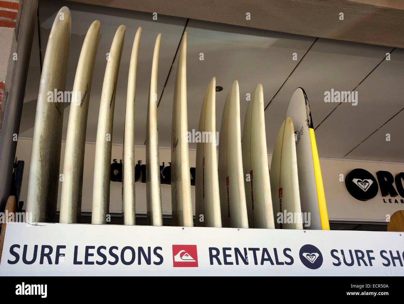 Row of surfboards at shop on Muizenburg beach front where surfing ...