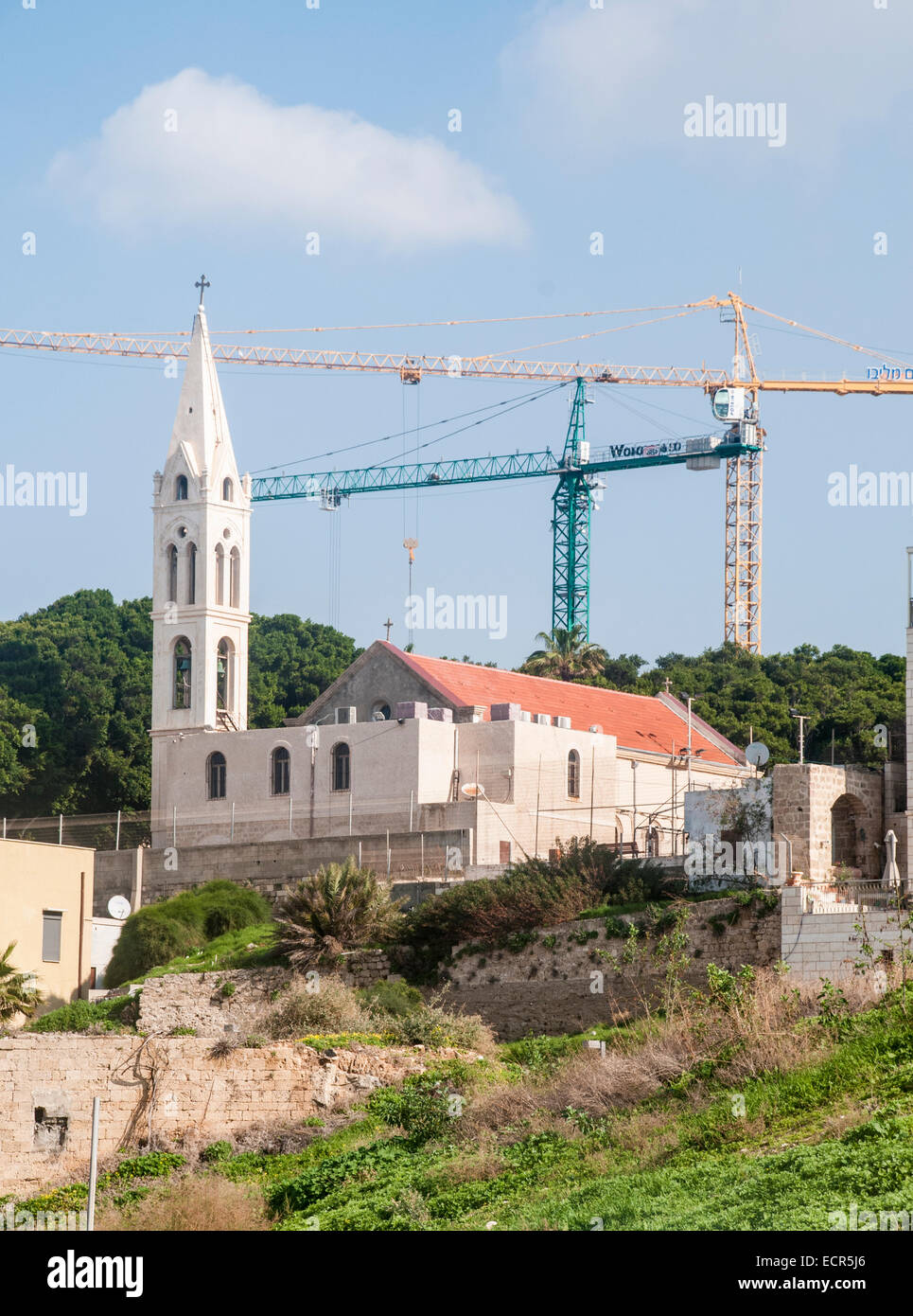 The Maronite Church, Ajami, Jaffa, Israel Stock Photo - Alamy