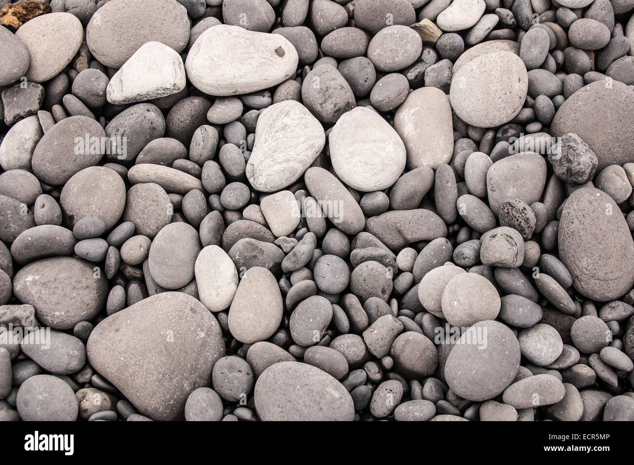Differents rocks in the beach in summer time Stock Photo - Alamy