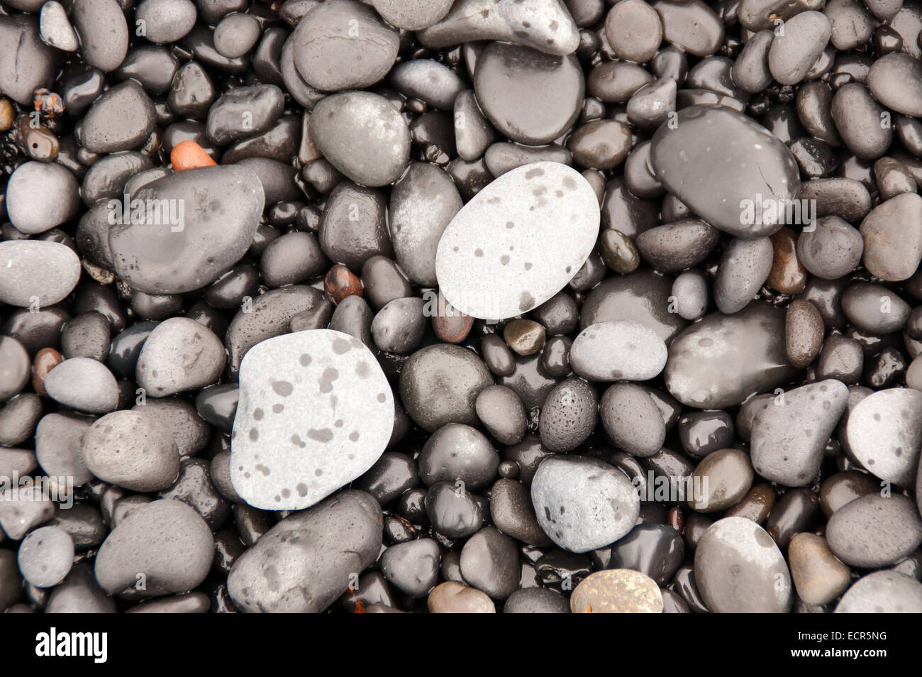 Differents rocks in beach of differents sizes Stock Photo - Alamy