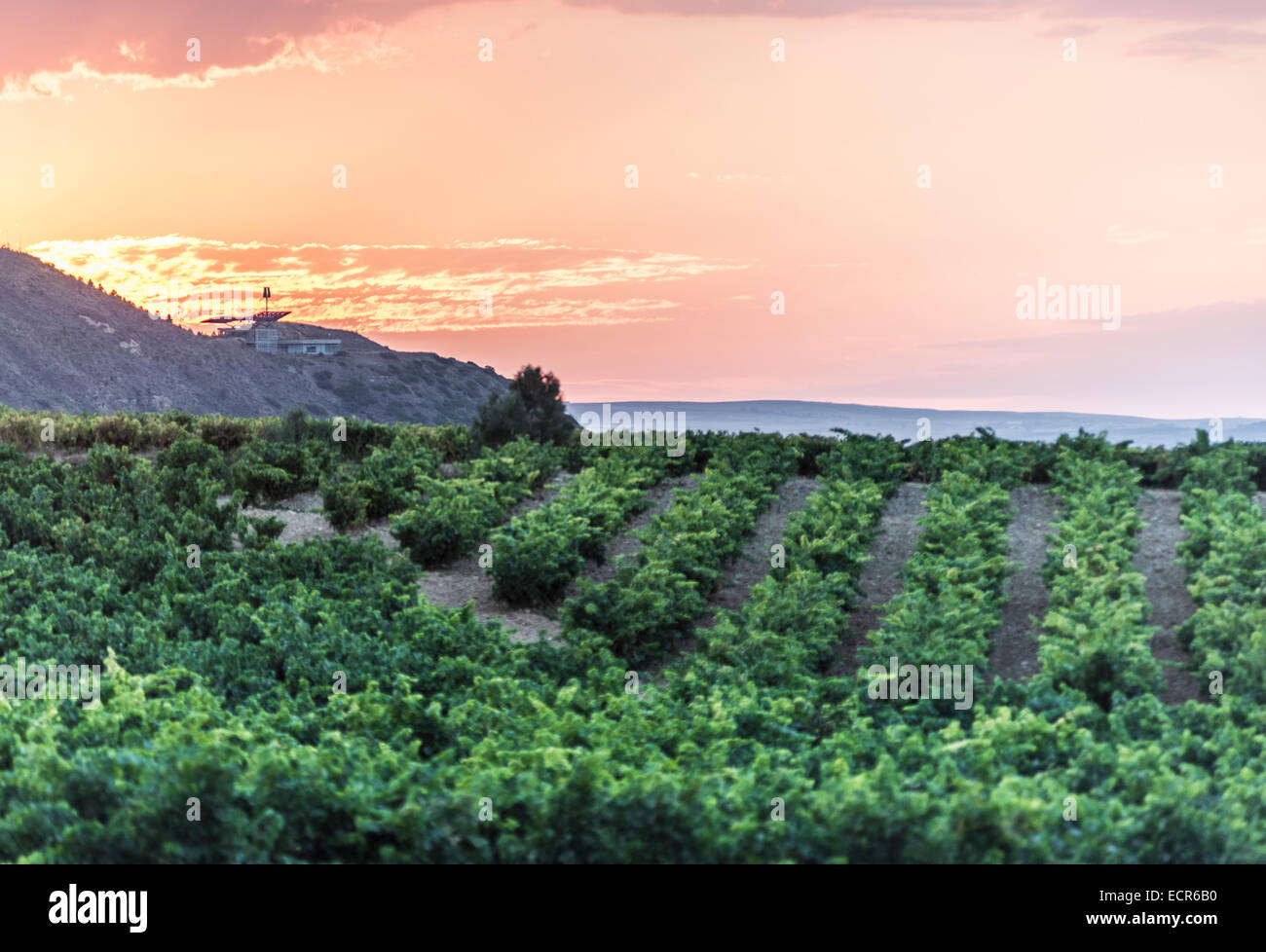 Wine producing country hi-res stock photography and images - Alamy