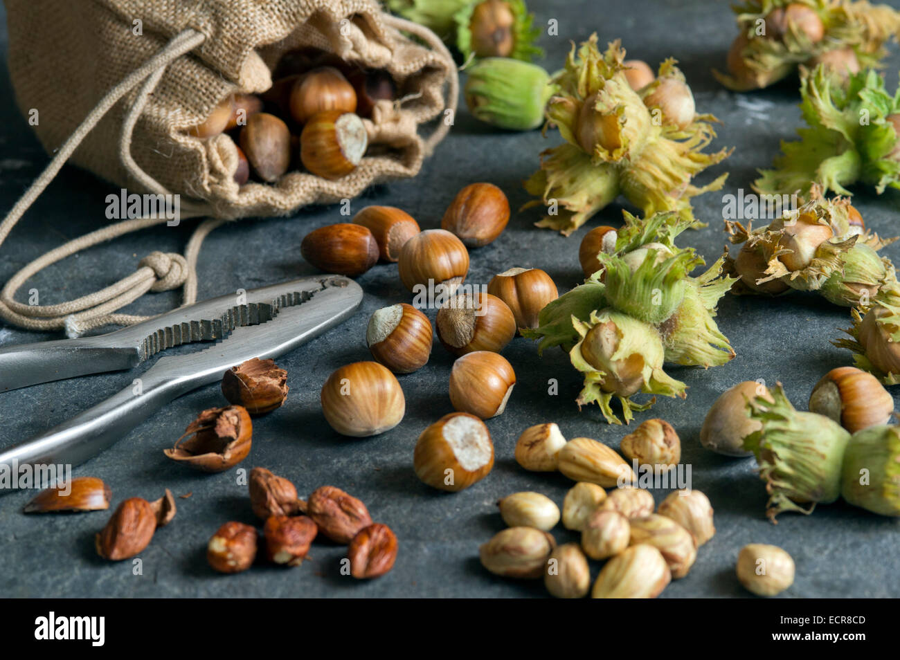Hedgerow nuts hi-res stock photography and images - Alamy