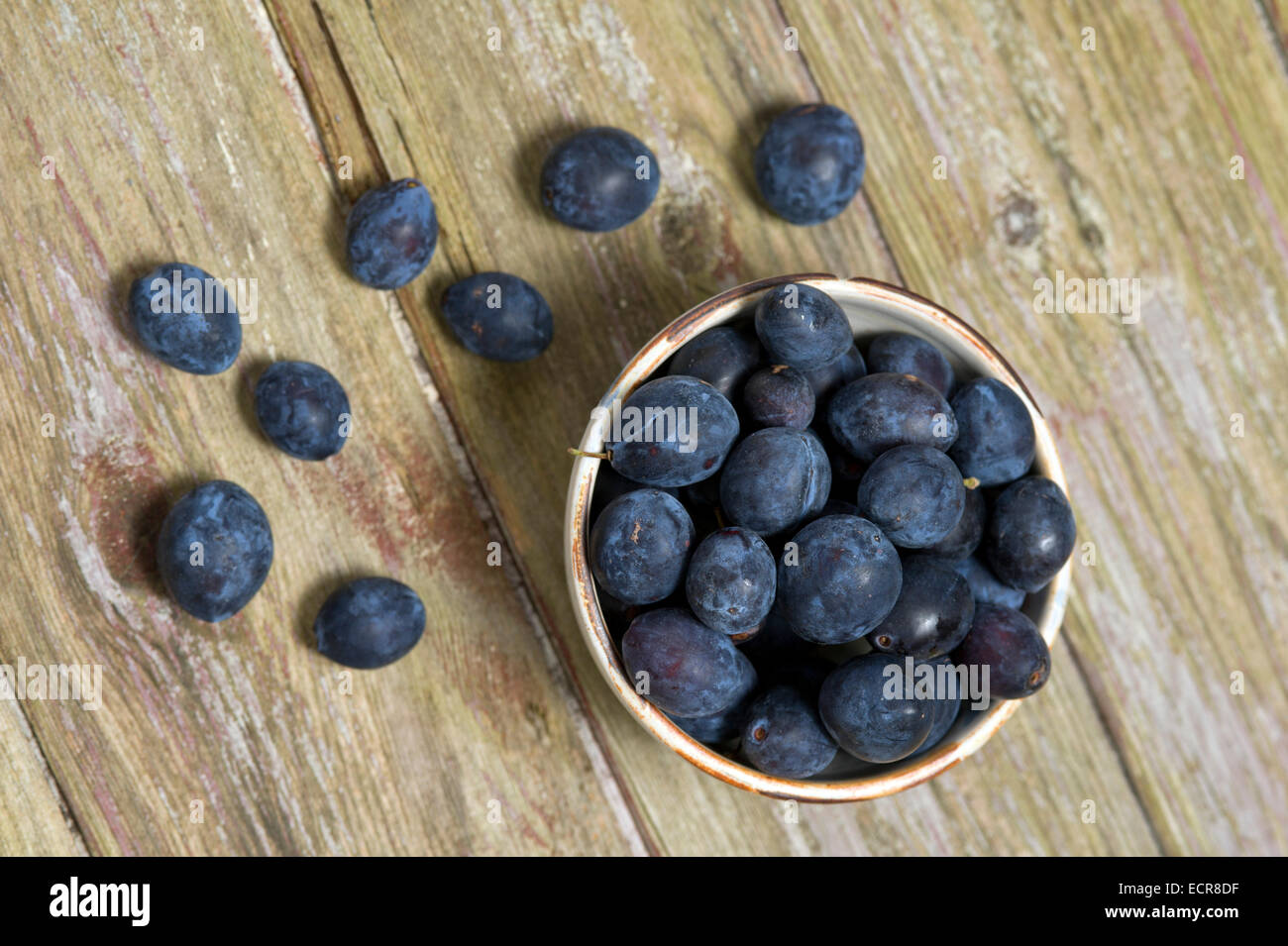 Damsons and damson ice-cream Stock Photo - Alamy