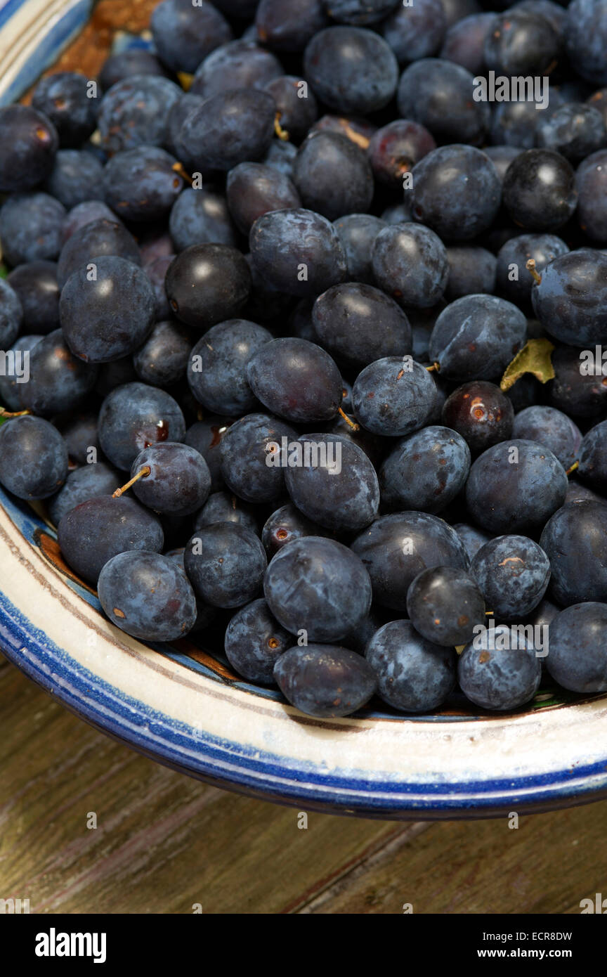 Damsons and damson ice-cream Stock Photo - Alamy