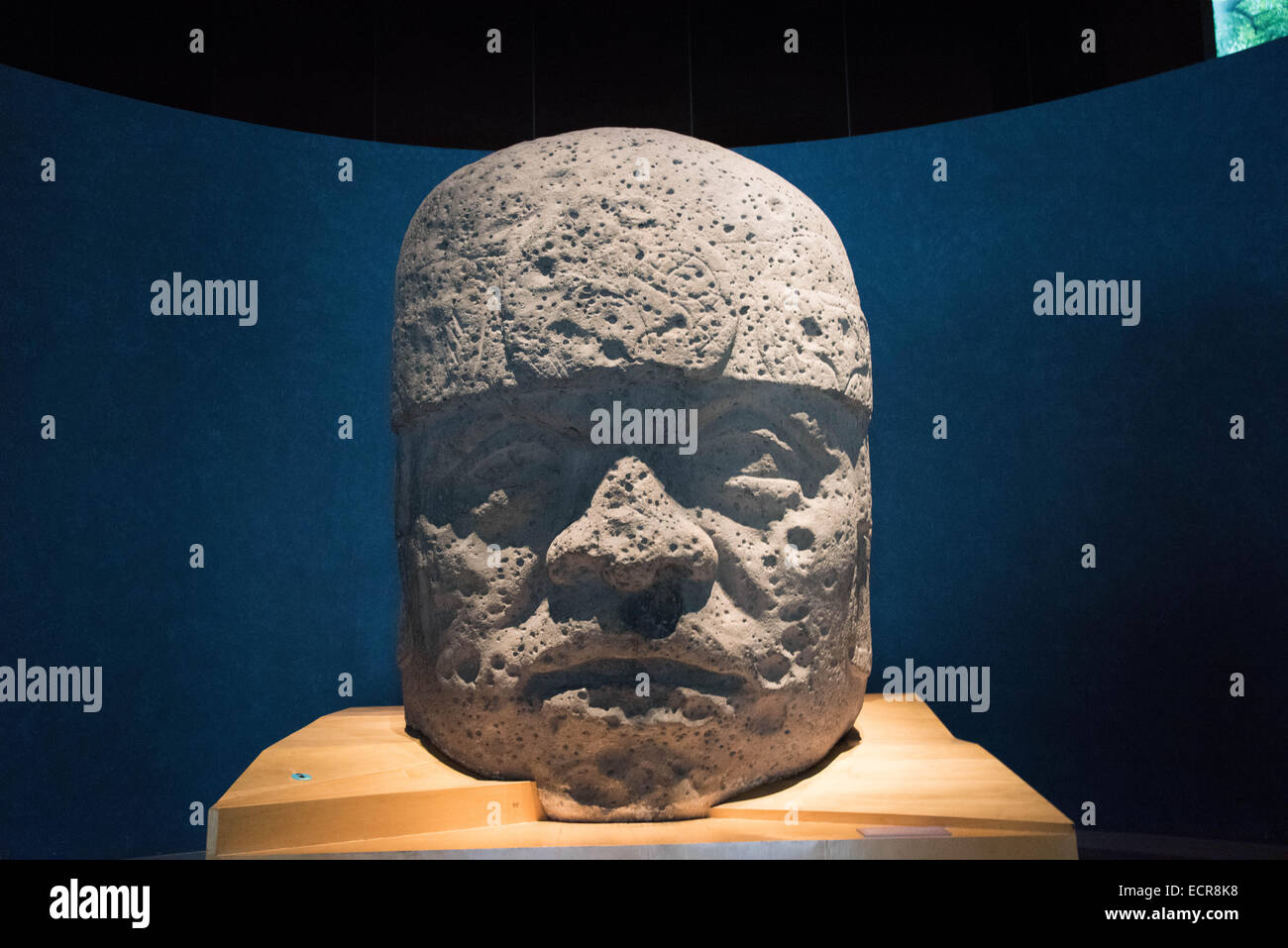 Colossal olmec head san lorenzo hi-res stock photography and images - Alamy