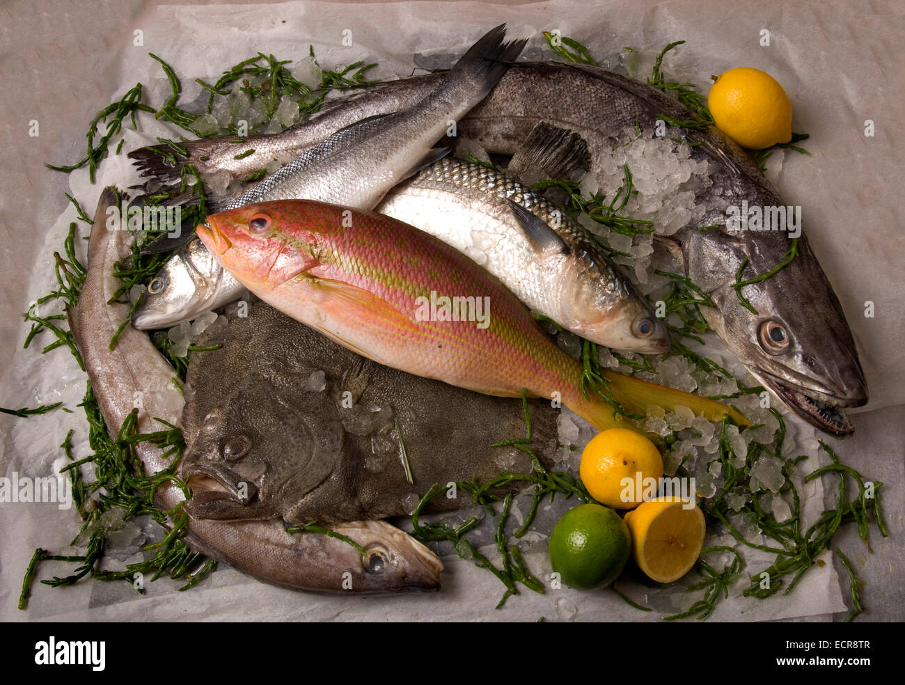 A selection of fish Stock Photo - Alamy
