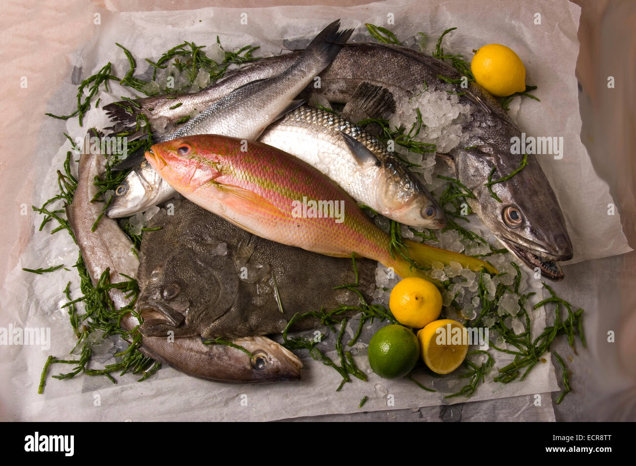A selection of fish Stock Photo - Alamy