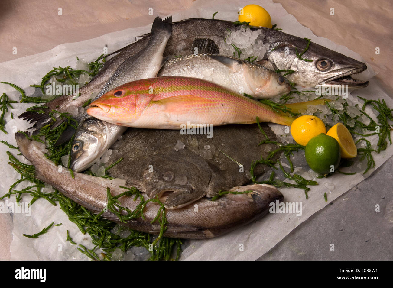 Selection of fishes hi-res stock photography and images - Alamy