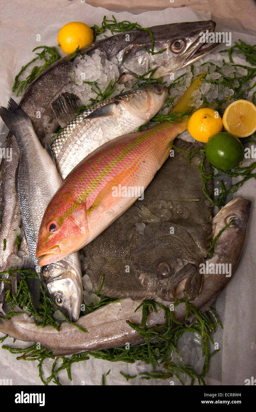 A selection of fish Stock Photo - Alamy