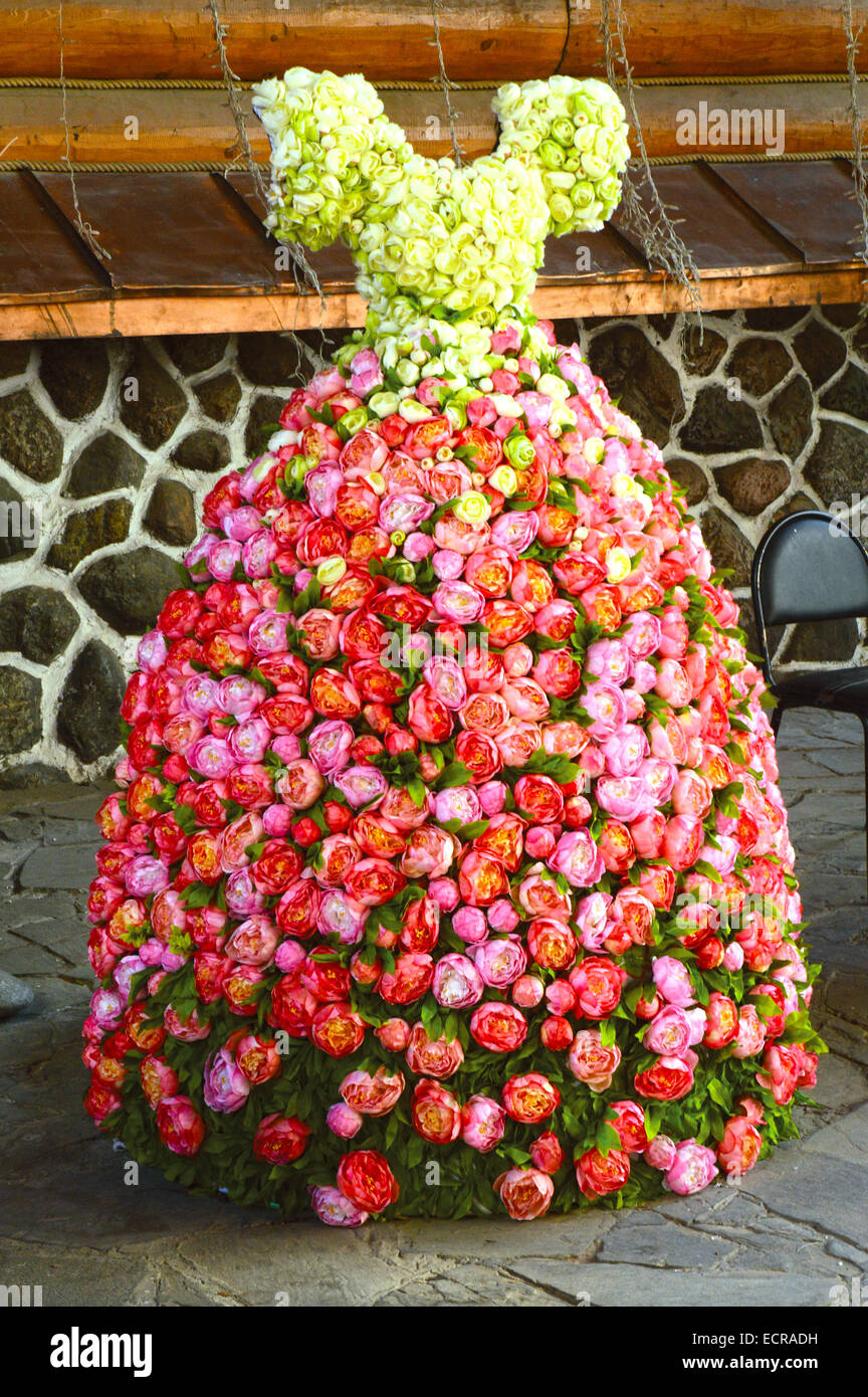 Dress of Roses Near the palace of marriage Many Different roses Stock ...