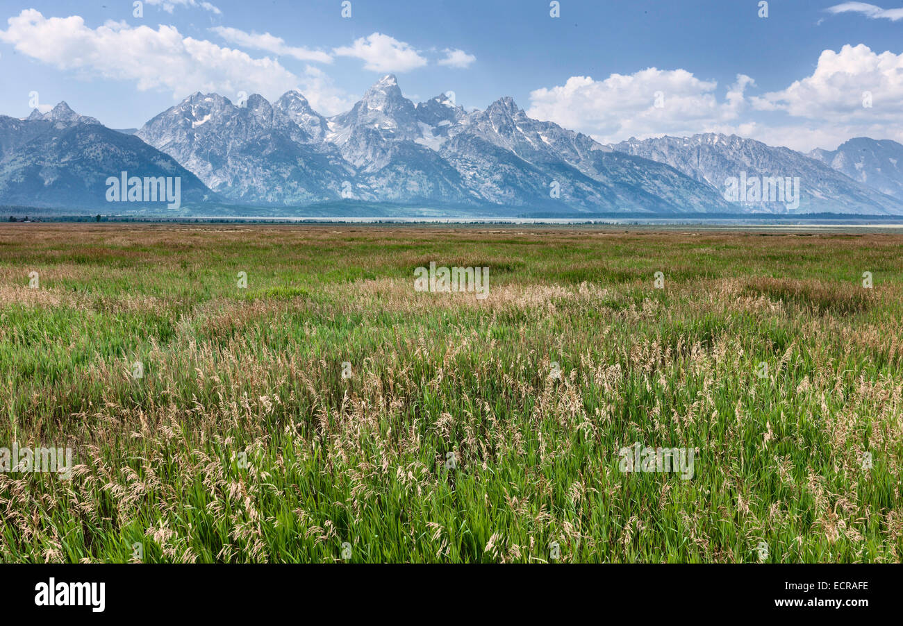 Open prairie hi-res stock photography and images - Alamy