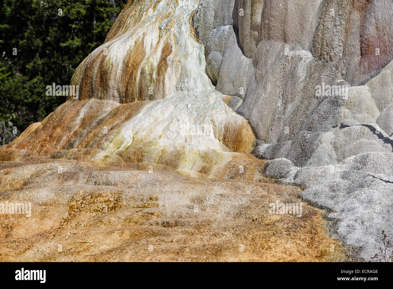 Orange Spring Mound, Mammoth Hot Springs, Yellowstone National Park ...