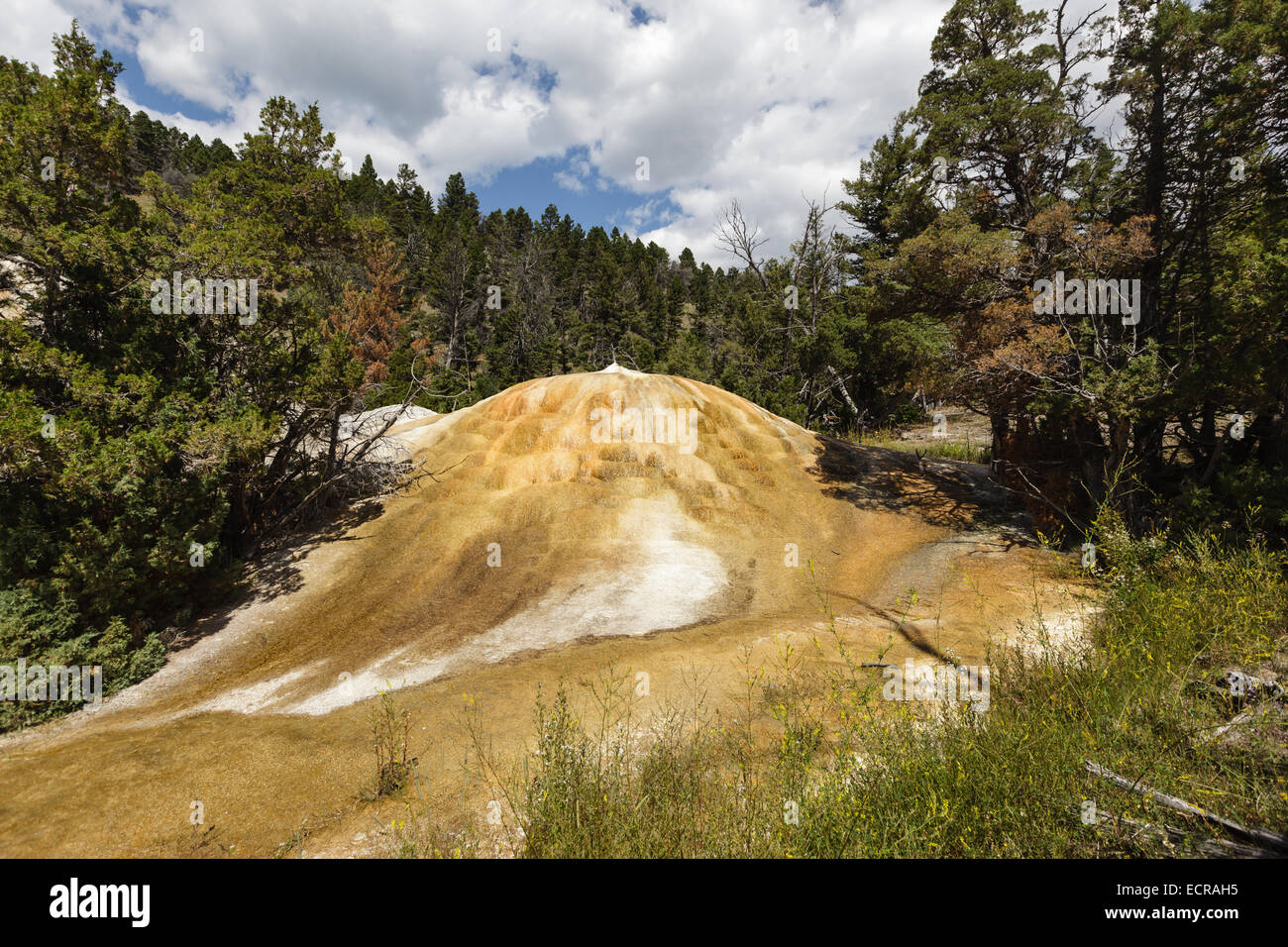 Orange Spring Mound, Mammoth Hot Springs, Yellowstone National Park ...