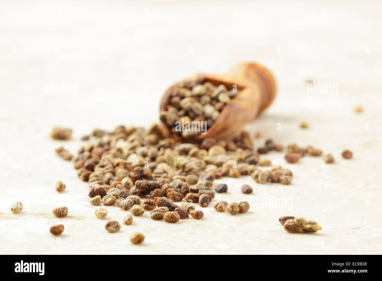 Cardamom seeds hi-res stock photography and images - Alamy