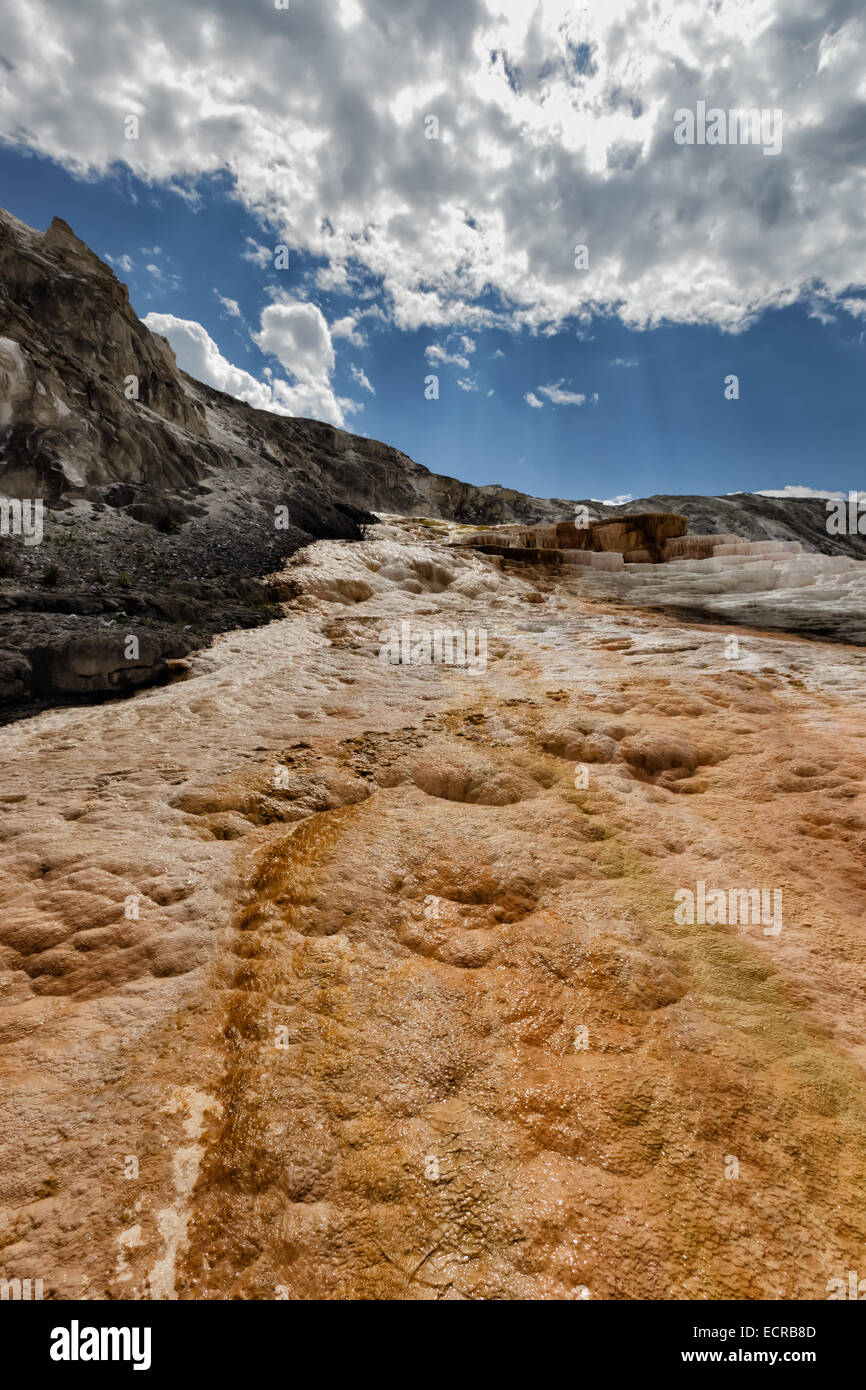 Travertine terraces at Mammoth Hot Springs Yellowstone National Park ...