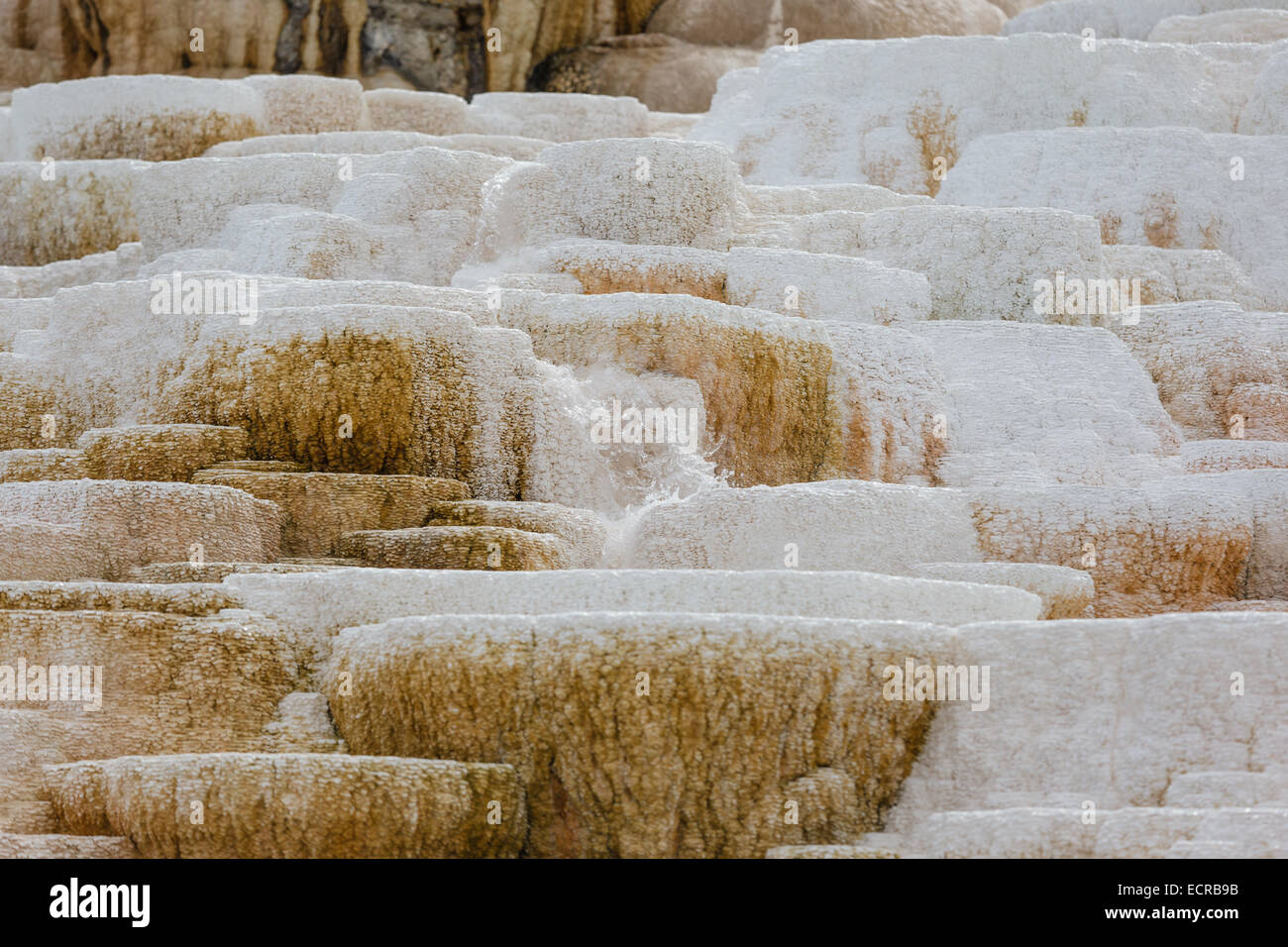 Yellowstone travertine hi-res stock photography and images - Alamy