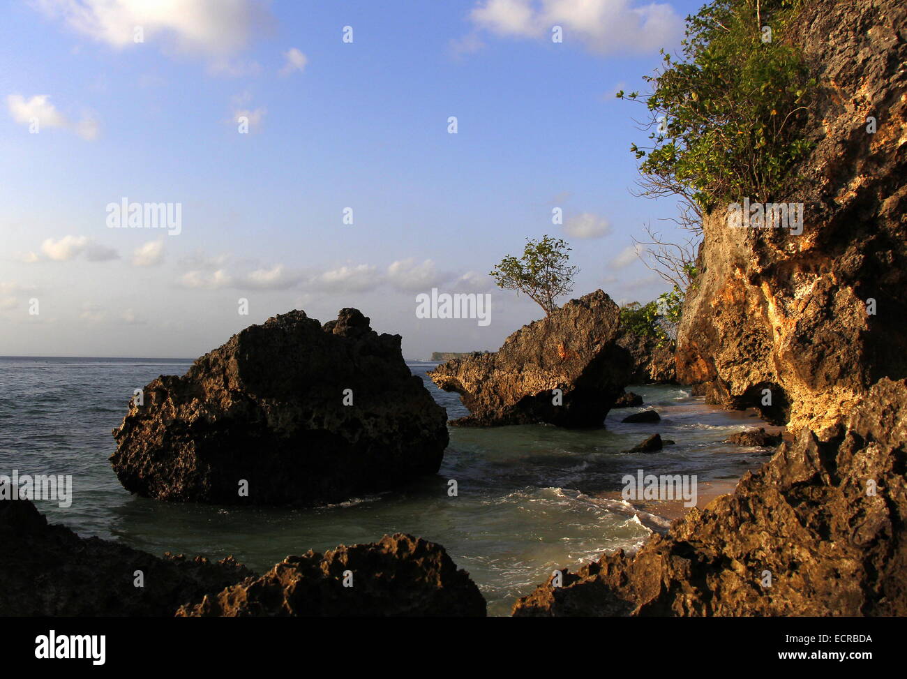 cliff,a steep rock face, especially at the edge of the sea Stock Photo ...