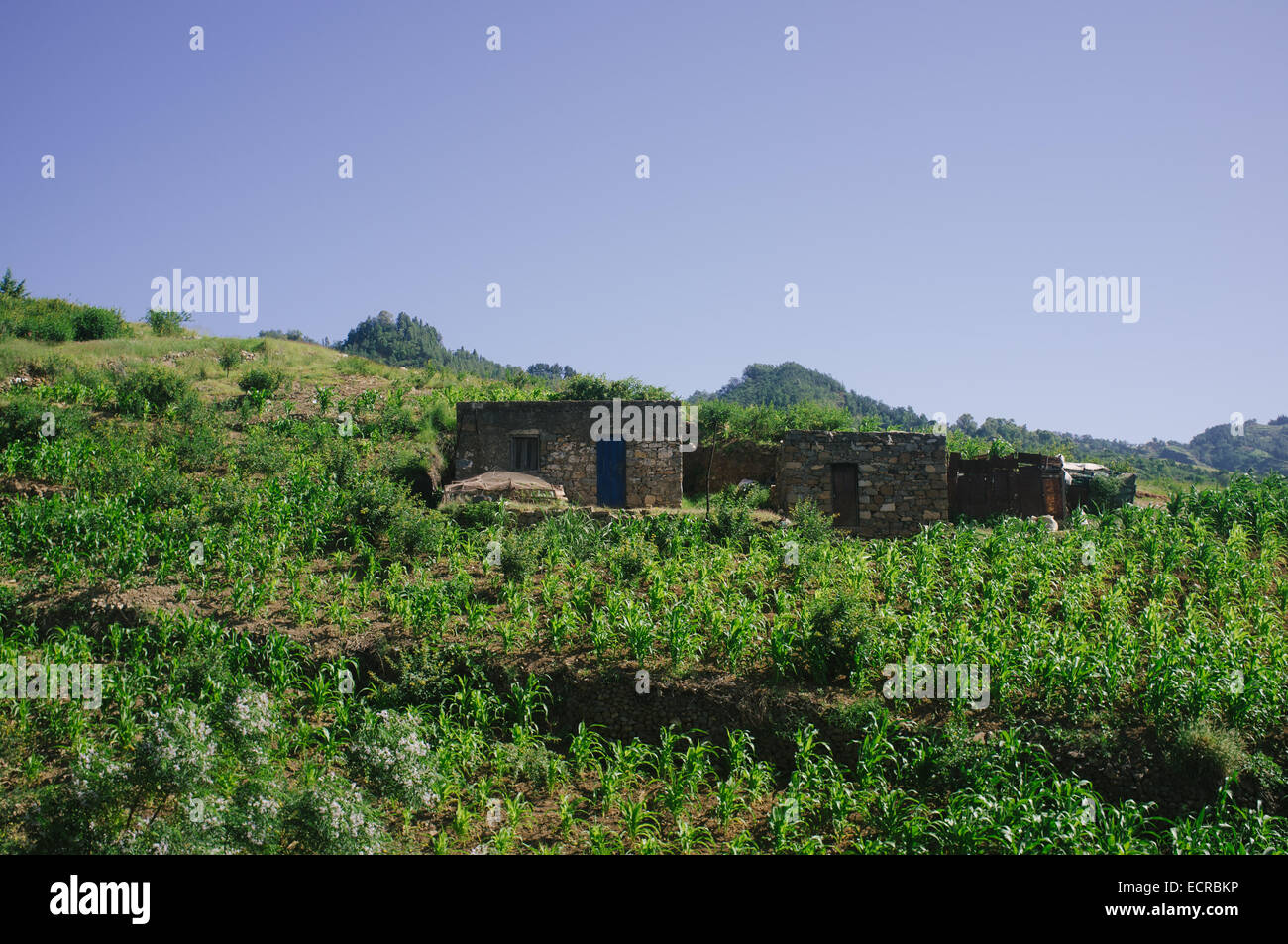 Santo Antão, Cape Verde, Africa Stock Photo - Alamy