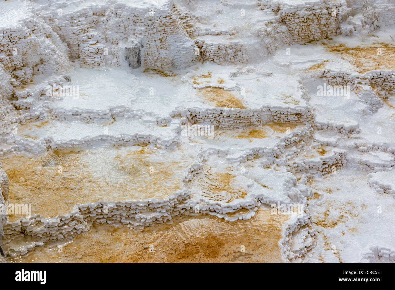 Yellowstone travertine hi-res stock photography and images - Alamy