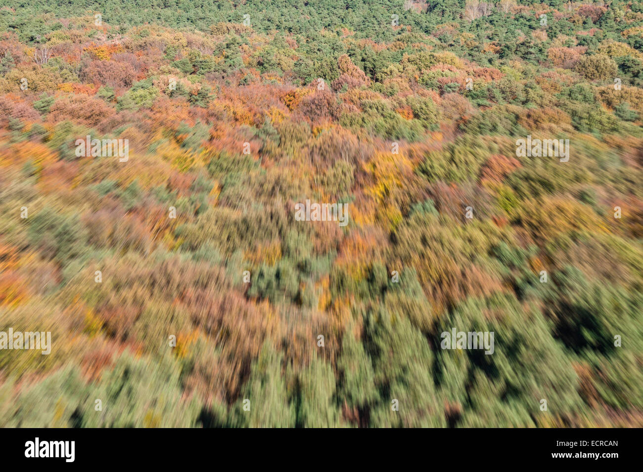autumn forest from helicopter perspective Stock Photo - Alamy