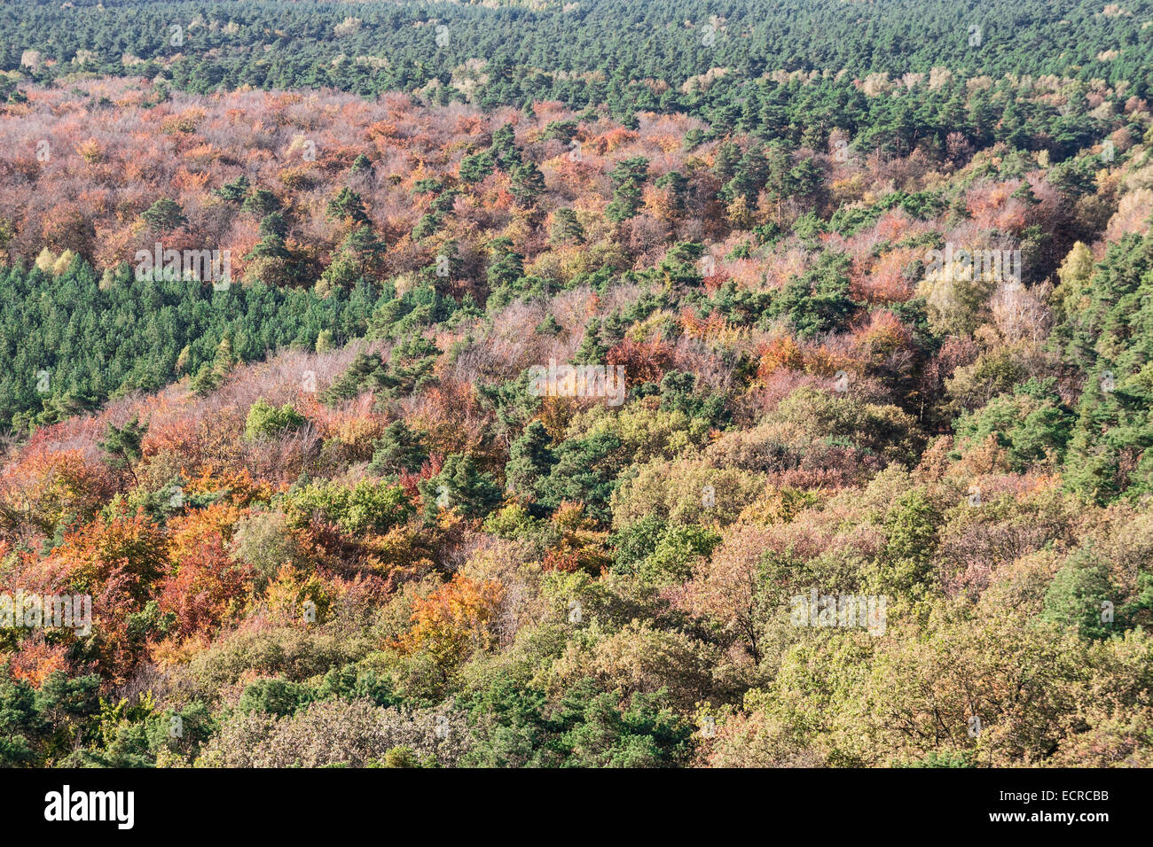 From birds eye hi-res stock photography and images - Alamy