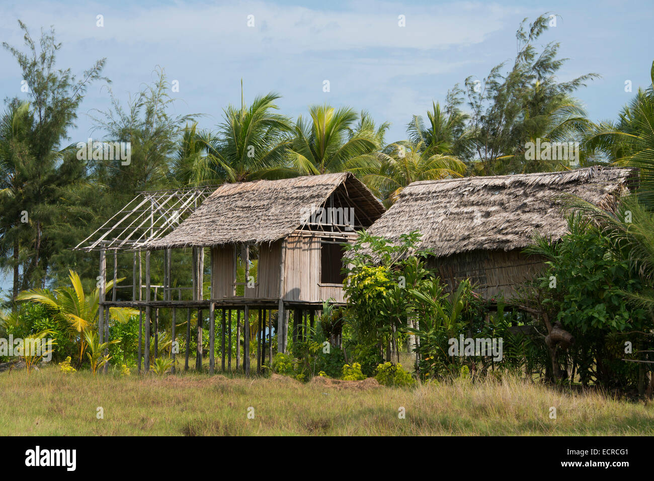 Melanesia traditional house hi-res stock photography and images - Alamy