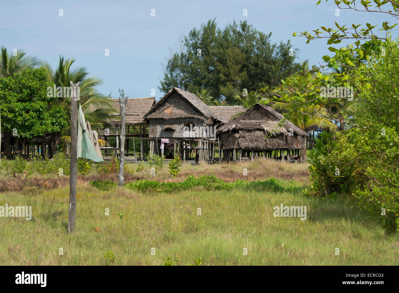 Melanesia, Papua New Guinea, Sepik River area, Murik Lakes. Typical ...